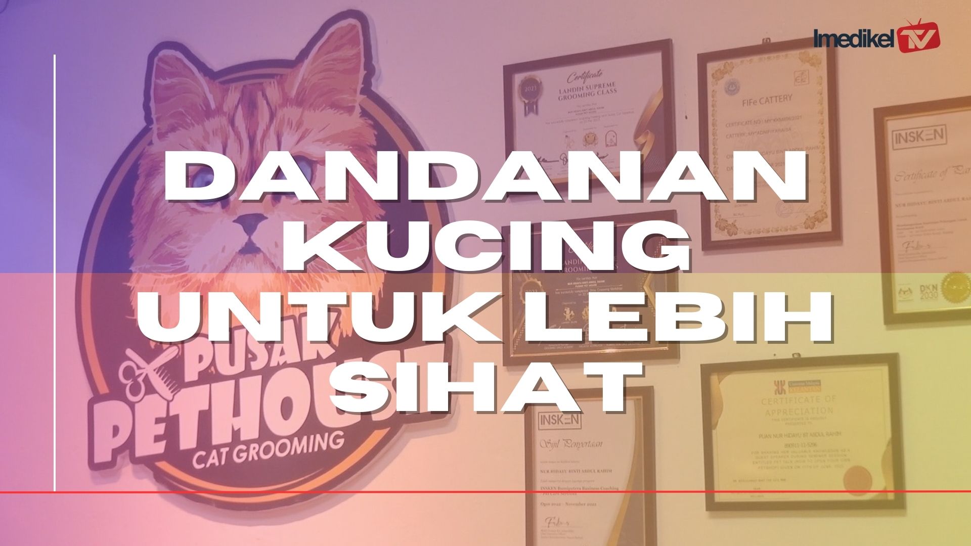 DANDANAN KUCING UNTUK LEBIH SIHAT - Imedikel TV