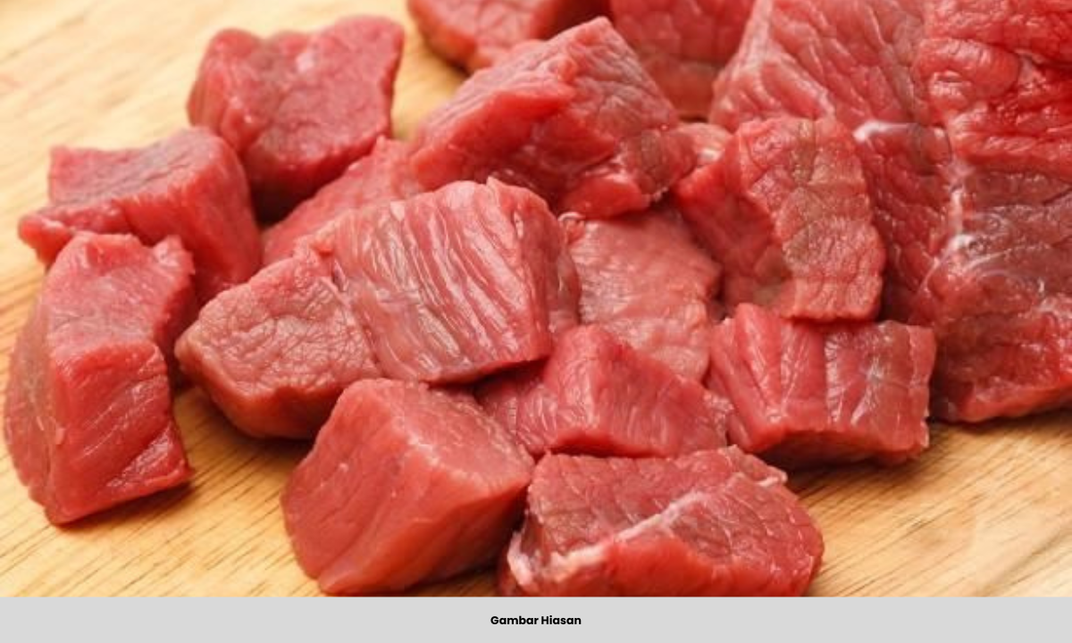 10 KESILAPAN SIMPAN STOK DAGING - Imedikel TV